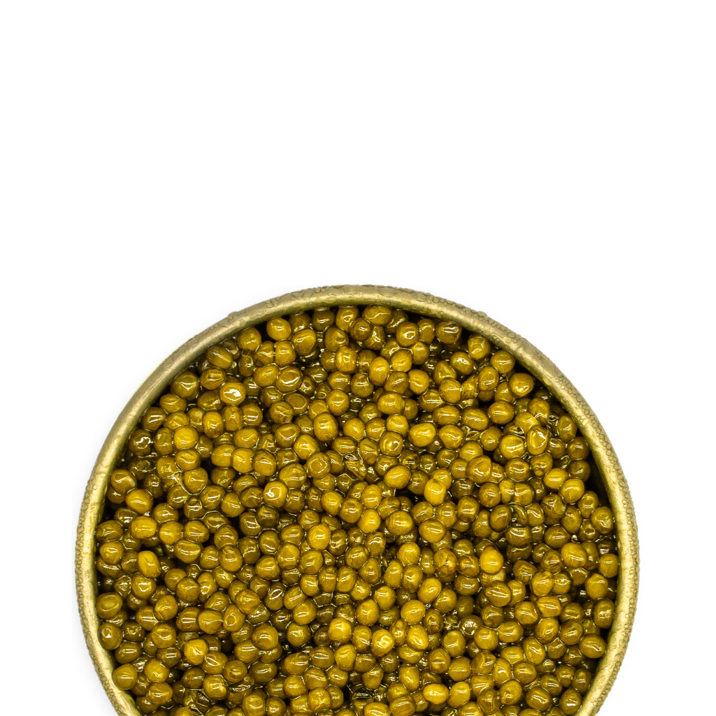 Kaluga Gold Caviar | Number One Caviar